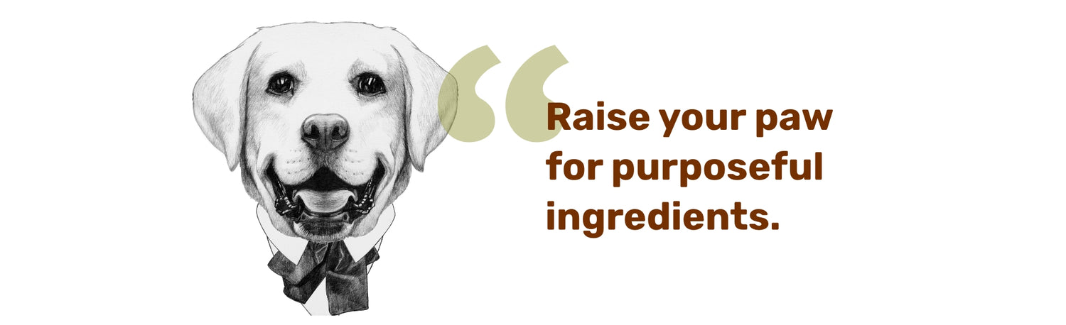 Our Story – Furry Republic