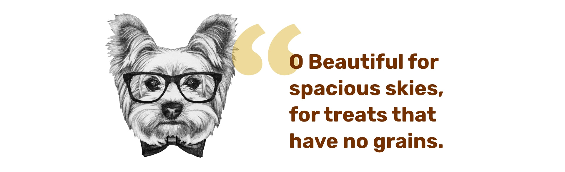 Our Story – Furry Republic