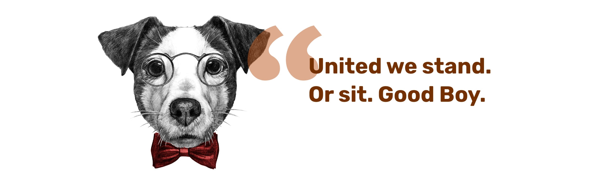 Our Story – Furry Republic