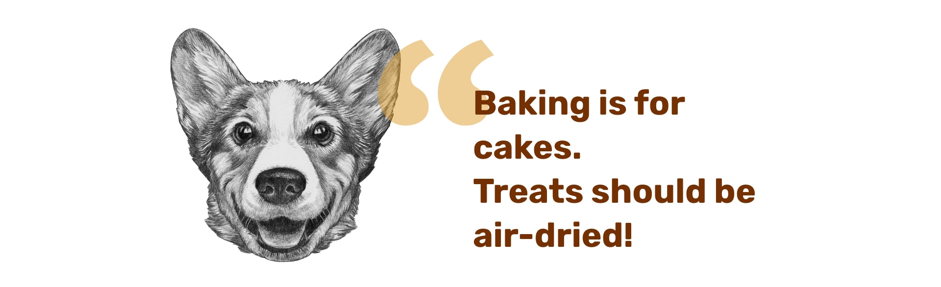 Our Story – Furry Republic