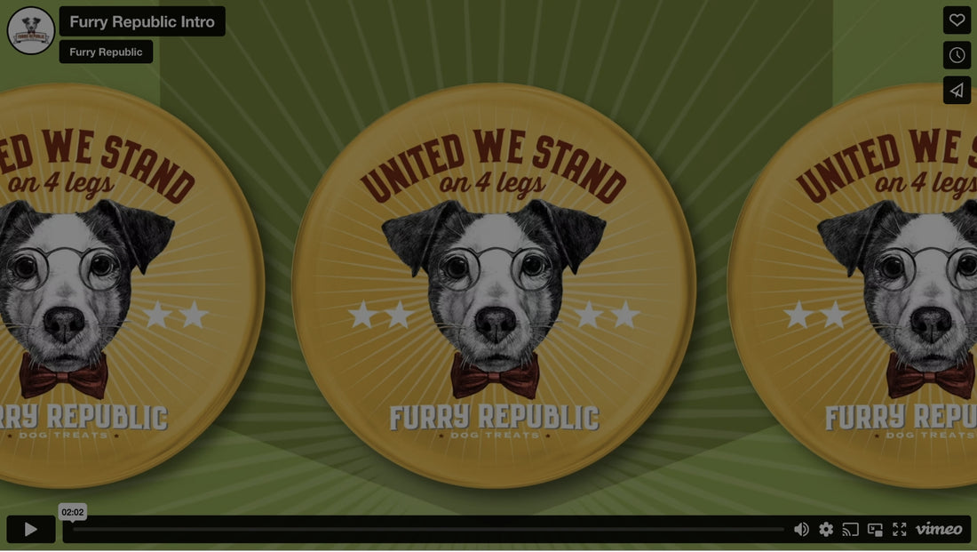 Our Story – Furry Republic